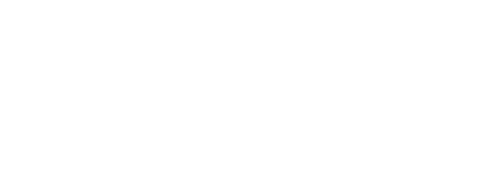 NDBH Board - National Dialogues on Behavioral Health